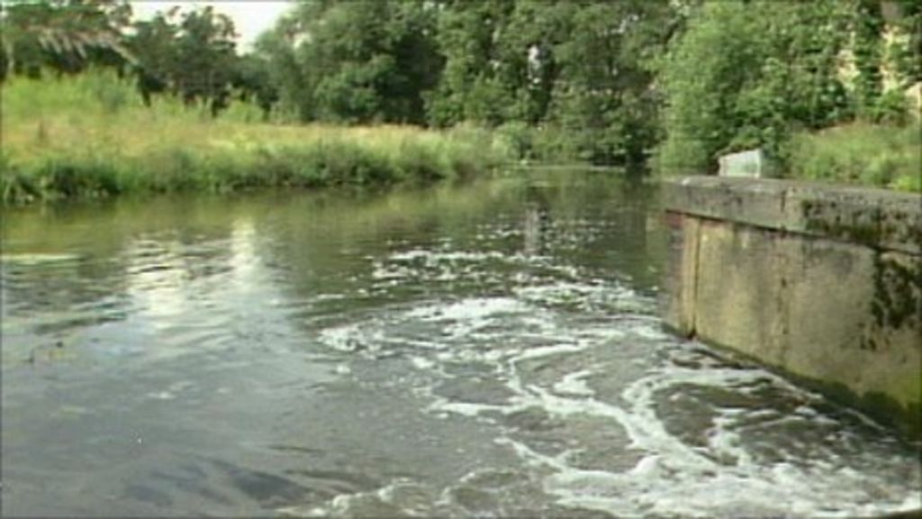 Fish die in River Arun 'sewage spill' in West Sussex - BBC News