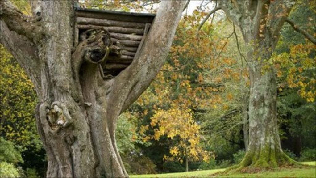 National Trust want new tree house for Plas Newydd - BBC News