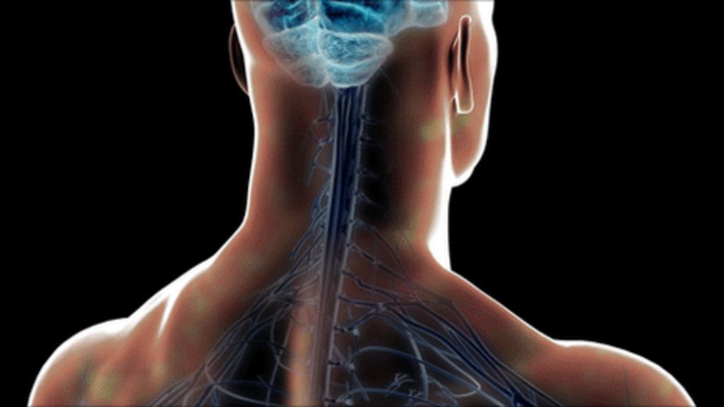 Spinal cord repair restores independent breathing - BBC News