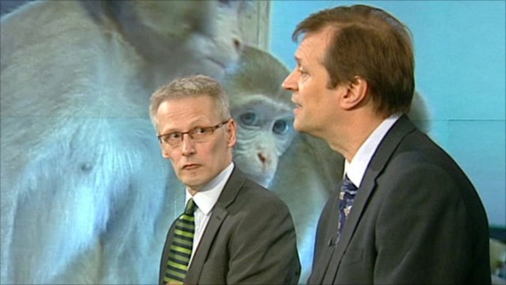 Monkey research 'can be improved', says Bateson review - BBC News