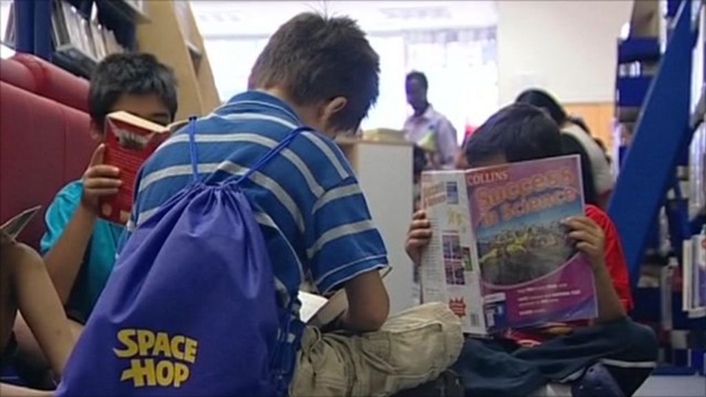 How can UK libraries survive? - BBC News
