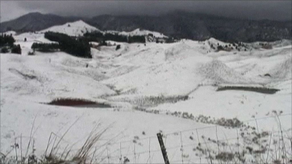 New Zealand cities see first snow in 40 years - BBC News