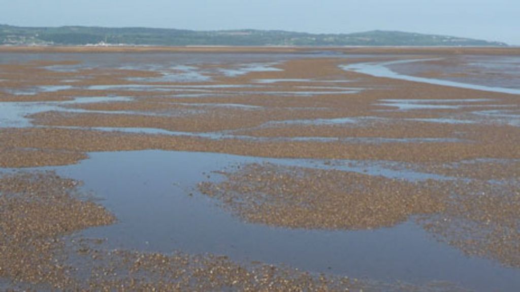 Mussels dredged to save Dee Estuary cockles - BBC News