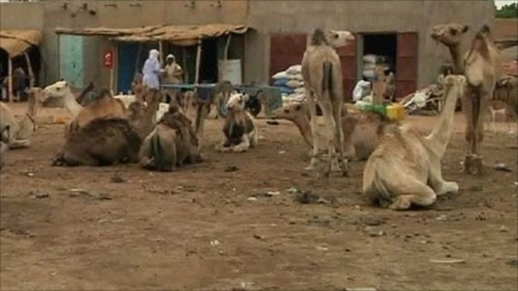Libya's Gaddafi still elusive as loyalists flee to Niger - BBC News