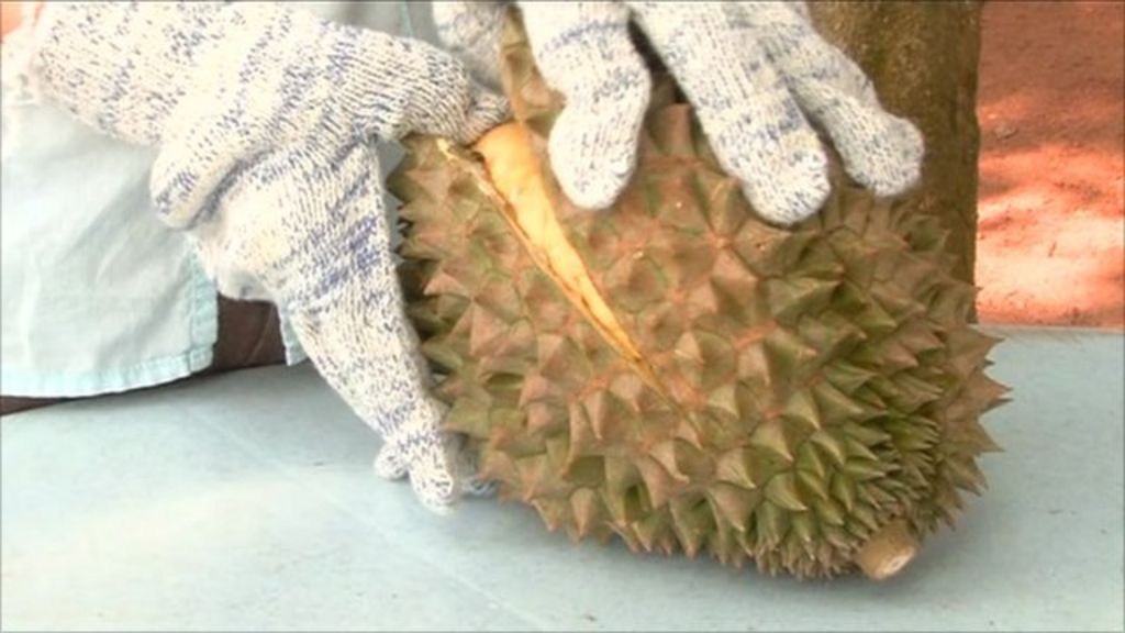 How to eat a smelly Durian - BBC News