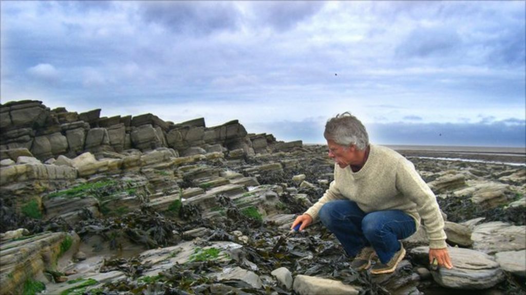 Searching for the secrets of extinction - BBC News