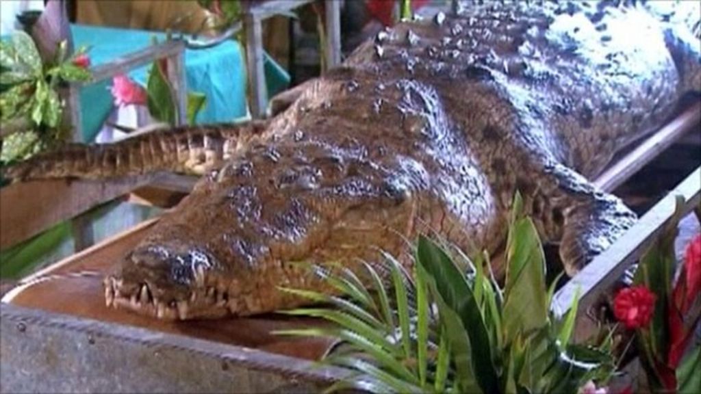 Costa Ricans hold funeral for celebrity crocodile Pocho - BBC News
