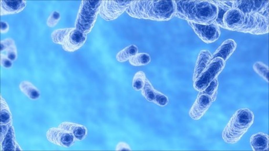 Viewpoint: How do our bacteria help us? - BBC News