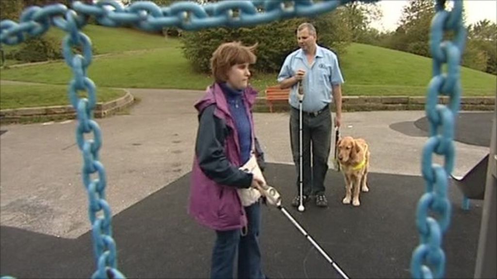 Bats inspire ultrasonic cane for blind - BBC News