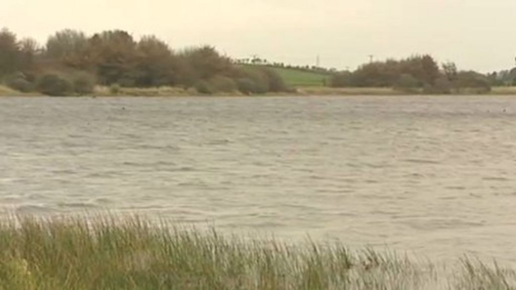 Blue-green algae at Llyn Alaw reservoir, Anglesey - BBC News