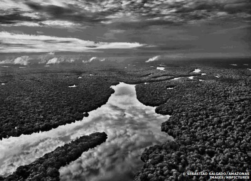 Sebastiao Salgado's Genesis project - BBC News