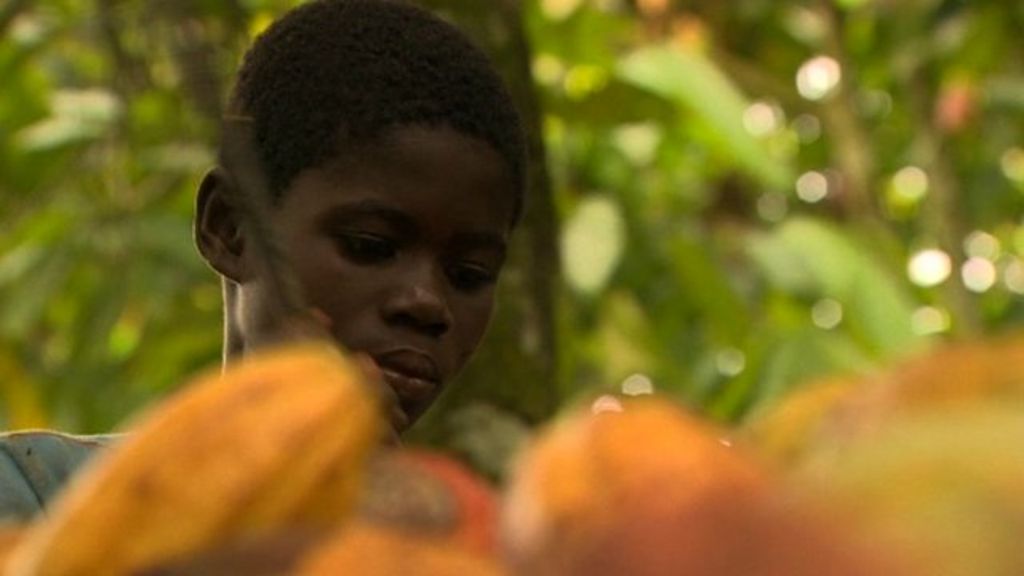 Cocoa farms in Ivory Coast still using child labour - BBC News