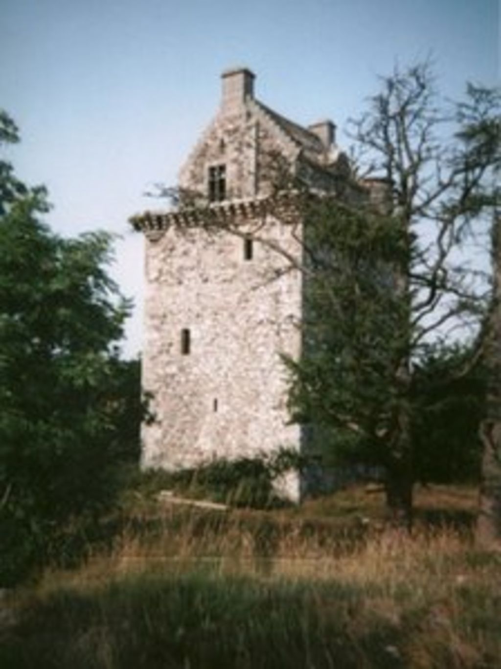 Fatlips Castle set for major restoration - BBC News