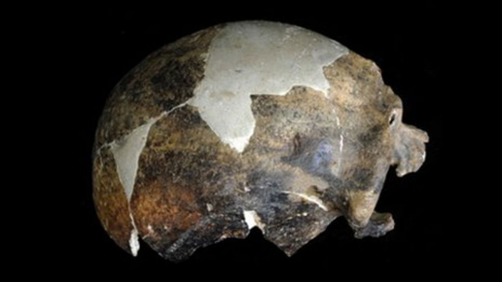 'Earliest' evidence of human violence - BBC News