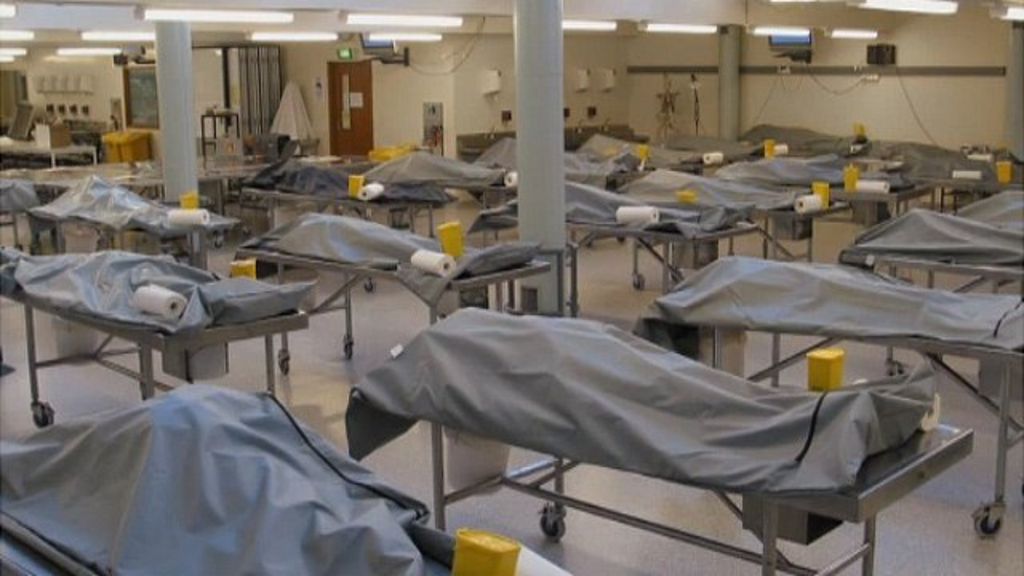 A human body donated to science - BBC News