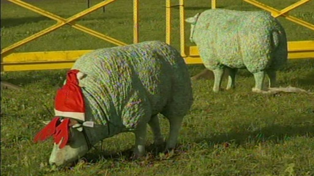 Fake sheep put behind bars to stop driver confusion - BBC News