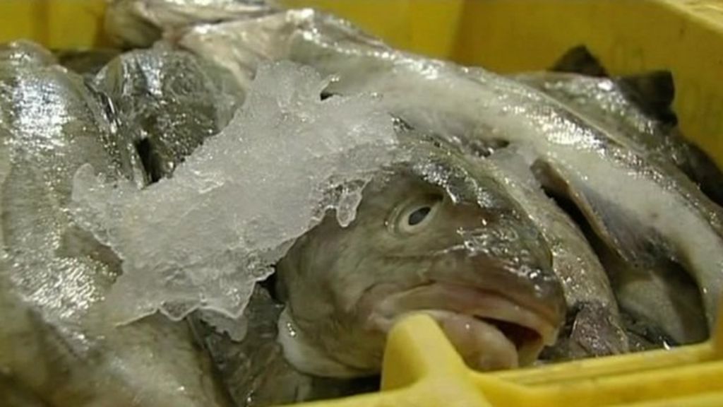 UK fishing fleets get higher quotas - BBC News
