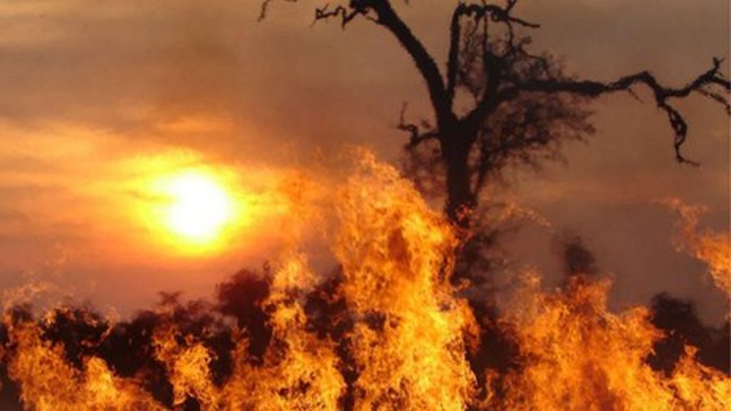 Model unlocks human impact on Africa's fire regimes - BBC News