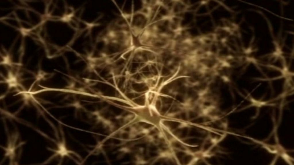 Scientists in multiple sclerosis cure 'breakthrough' - BBC News