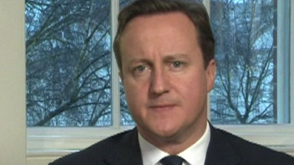 Cameron biography: Anthony Seldon and Isabel Oakeshott - BBC News