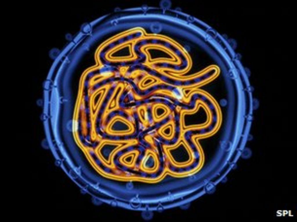 Hepatitis C vaccine: Oxford researchers' trial 'promising' - BBC News