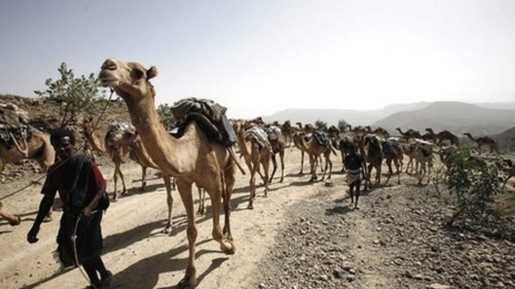 Q&A: Ethiopia's Afar region - BBC News
