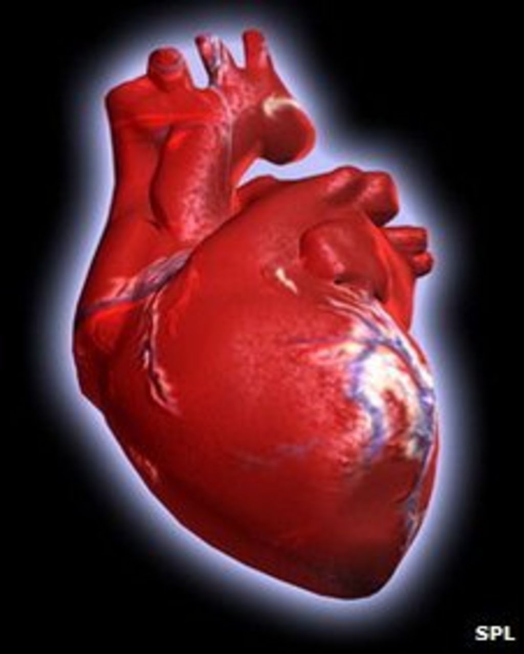 Gene switch 'key to heart health' - BBC News