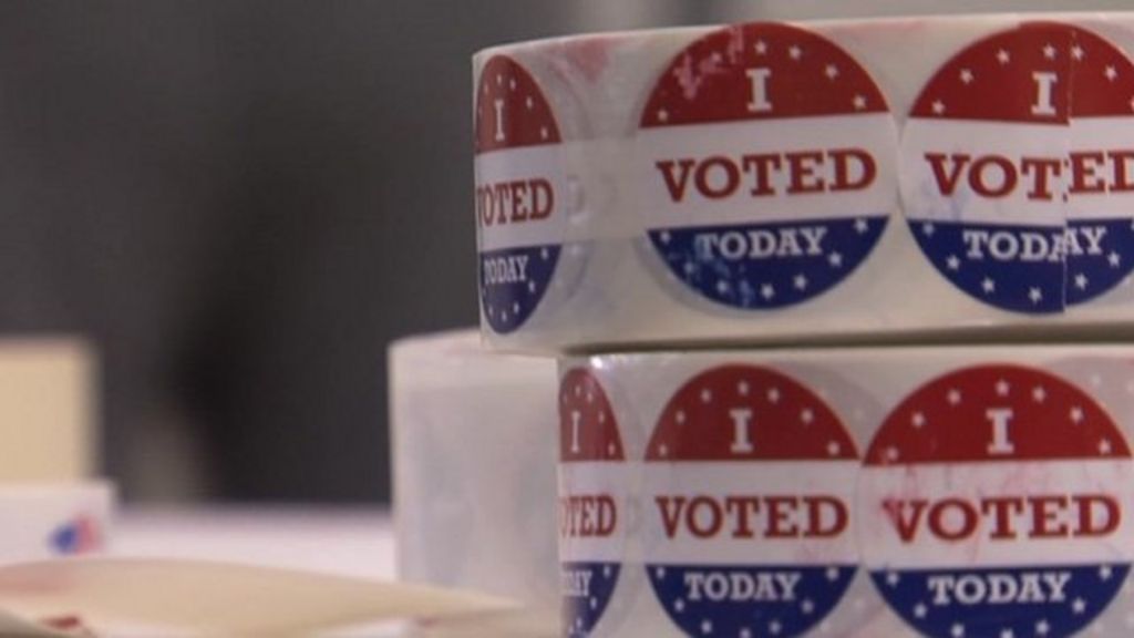 South Carolinians say they would welcome weekend voting - BBC News