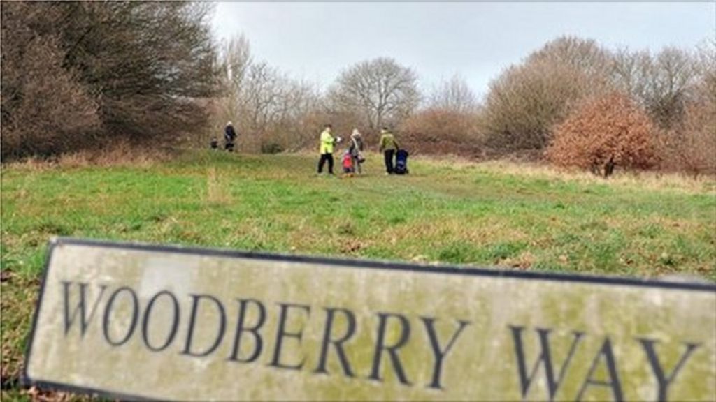 Chingford dog attack: Dog maul father recalls attack - BBC News