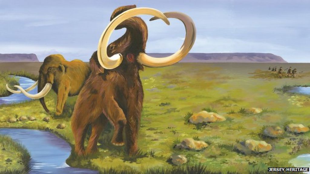 Study into Jersey Neanderthal mammoth hunters - BBC News