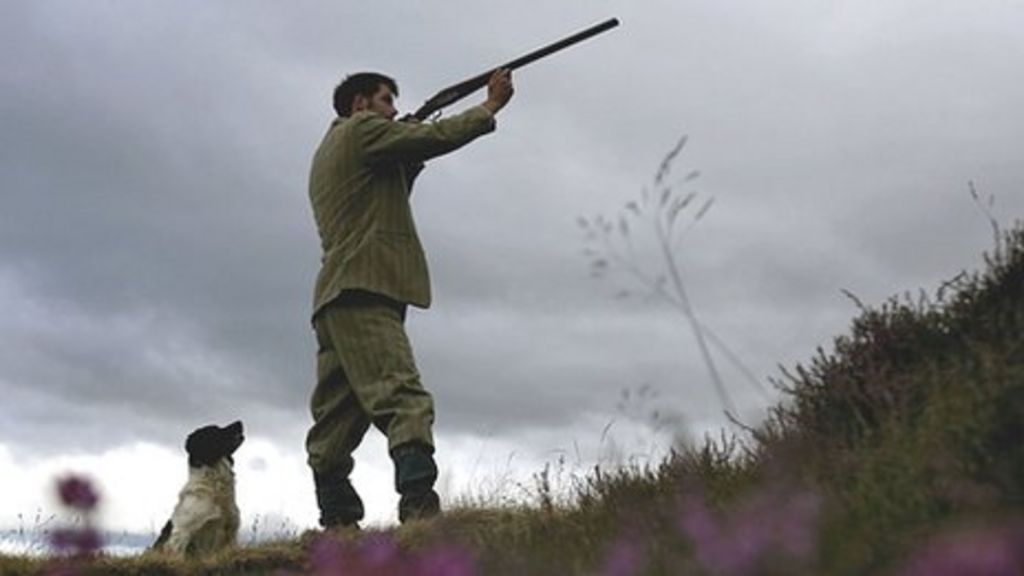 North Yorkshire shooting accidents spark safety warning - BBC News