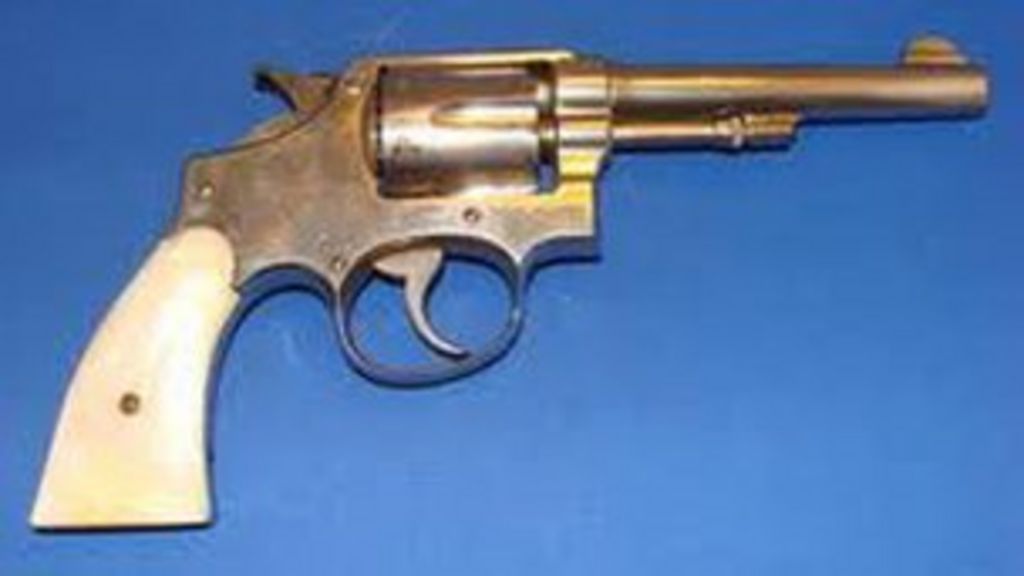 Shot sheep gun appeal in Rhydyfelin, Pontypridd - BBC News