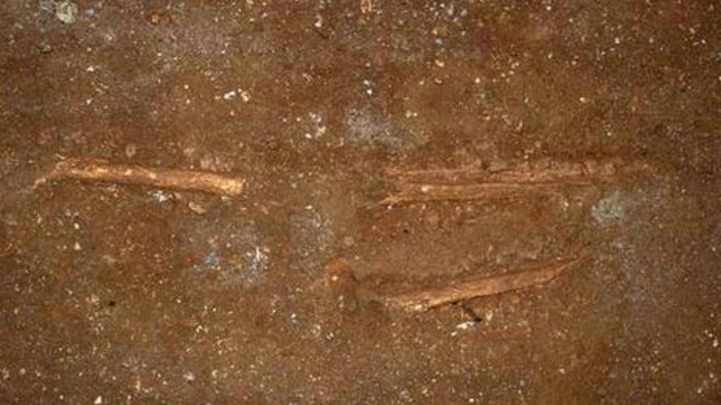 'Roman' human remains found in Dorset back garden - BBC News