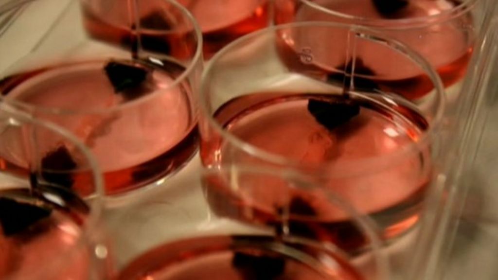 Lab-grown meat is first step to artificial hamburger - BBC News