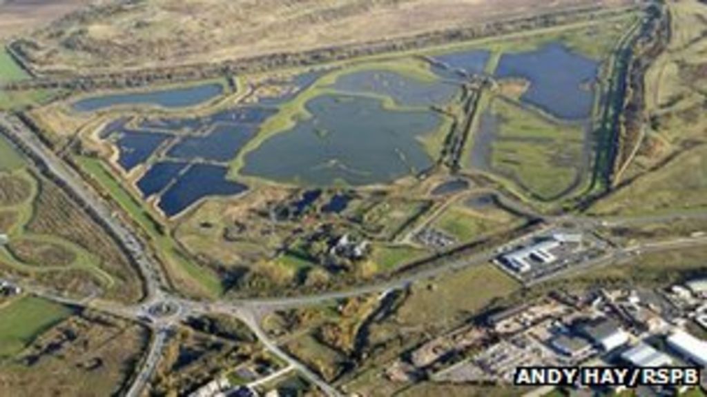 Dearne Valley selected as Nature Improvement Area - BBC News