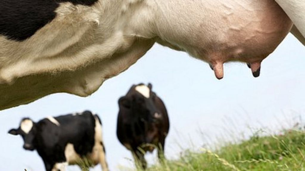 Forgotten food: 25 foods readers would like to revive - BBC News