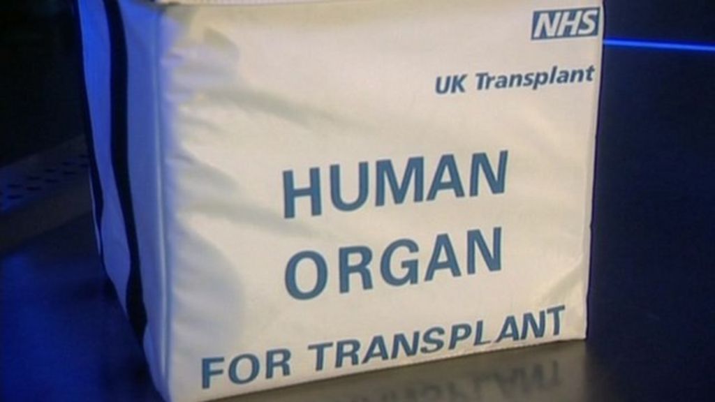 Transplant organ fluid 'contaminated', says government - BBC News
