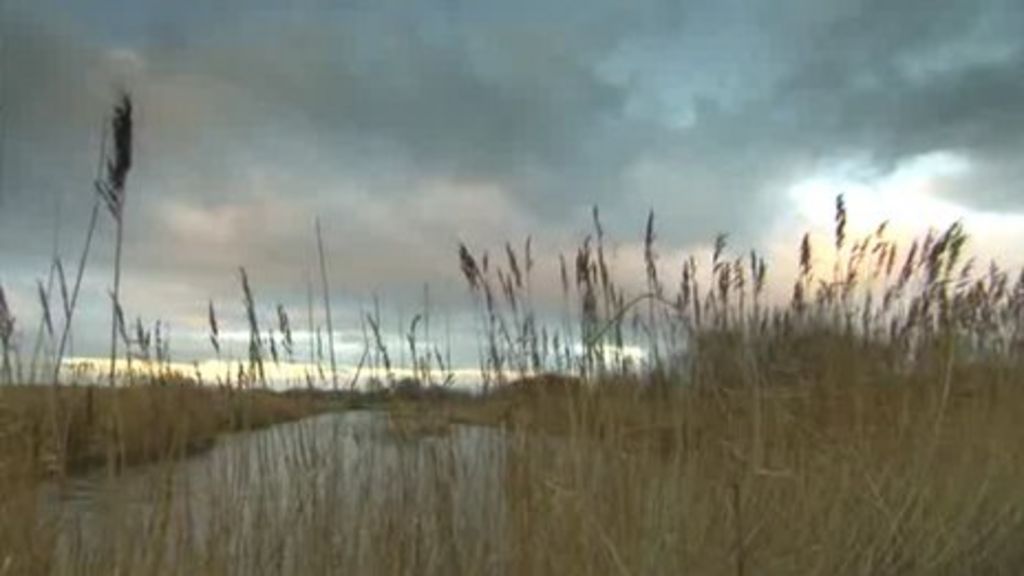 Avalon Marshes in Somerset is given £1.8m by Heritage Lottery Fund ...