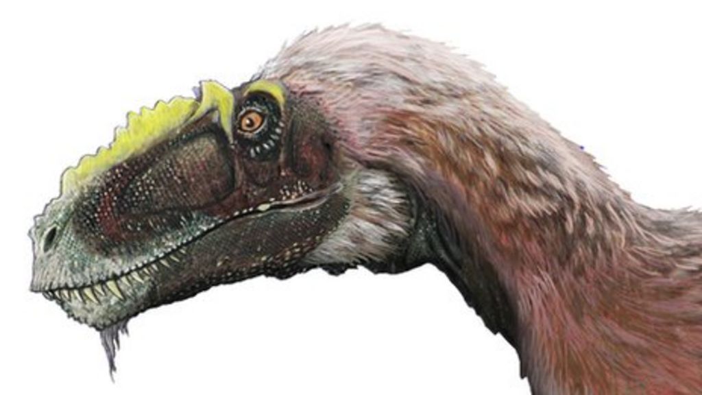 T. rex relative is biggest ever feathered animal - BBC News