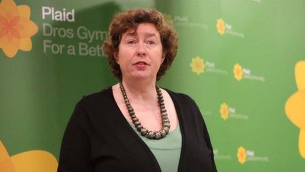 Plaid Cymru to launch council election manifesto - BBC News