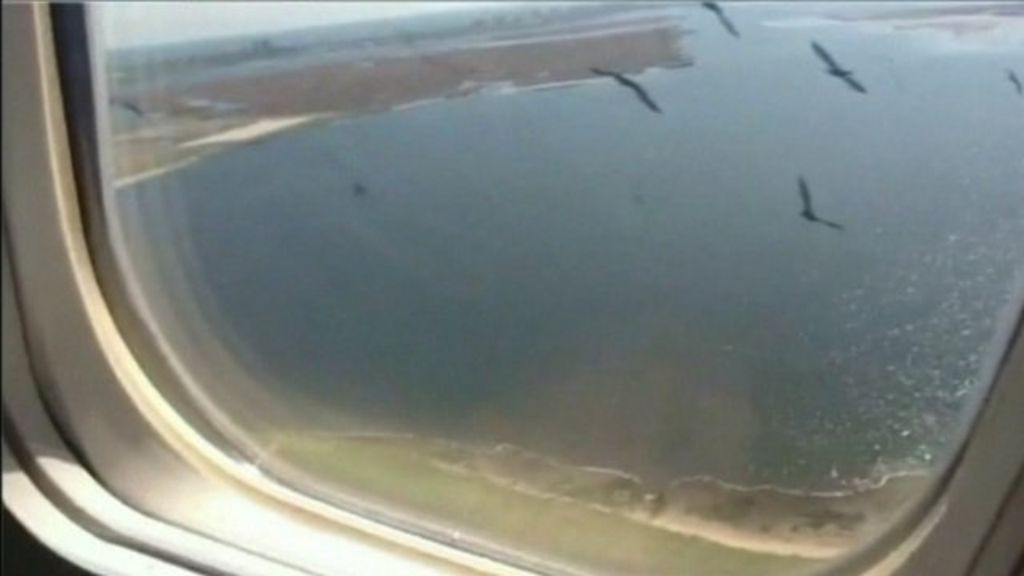 Delta Airlines plane makes emergency landing after bird strike - BBC News