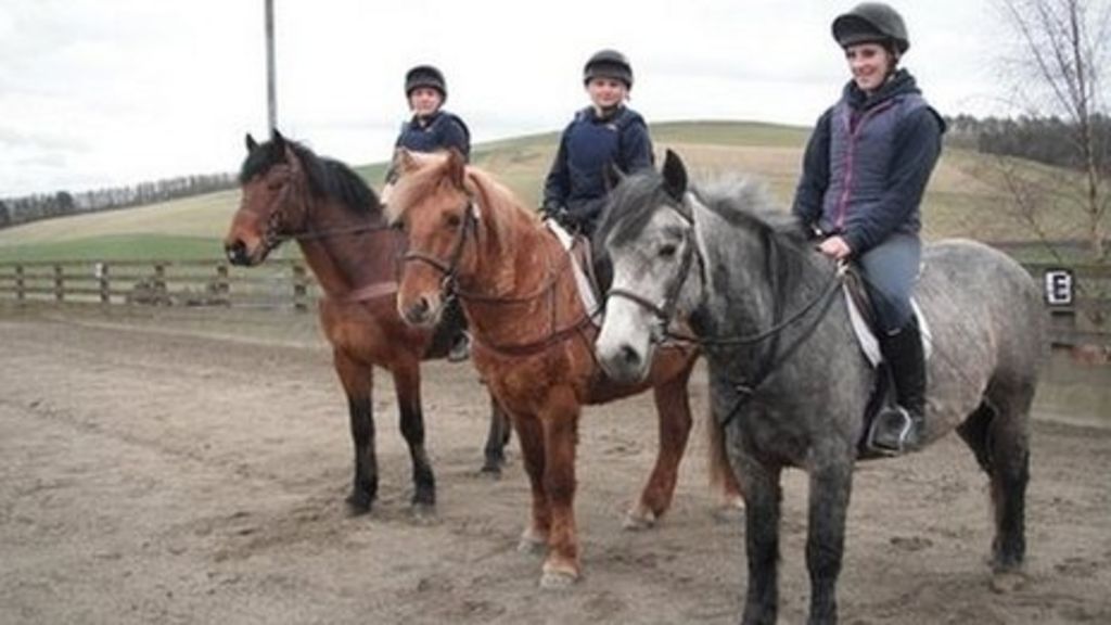 Moray wild ponies test Borders College student skills - BBC News