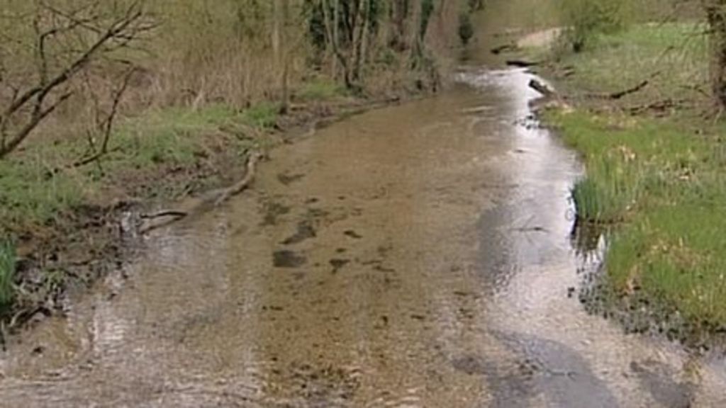 Chalk stream drought in the South - BBC News