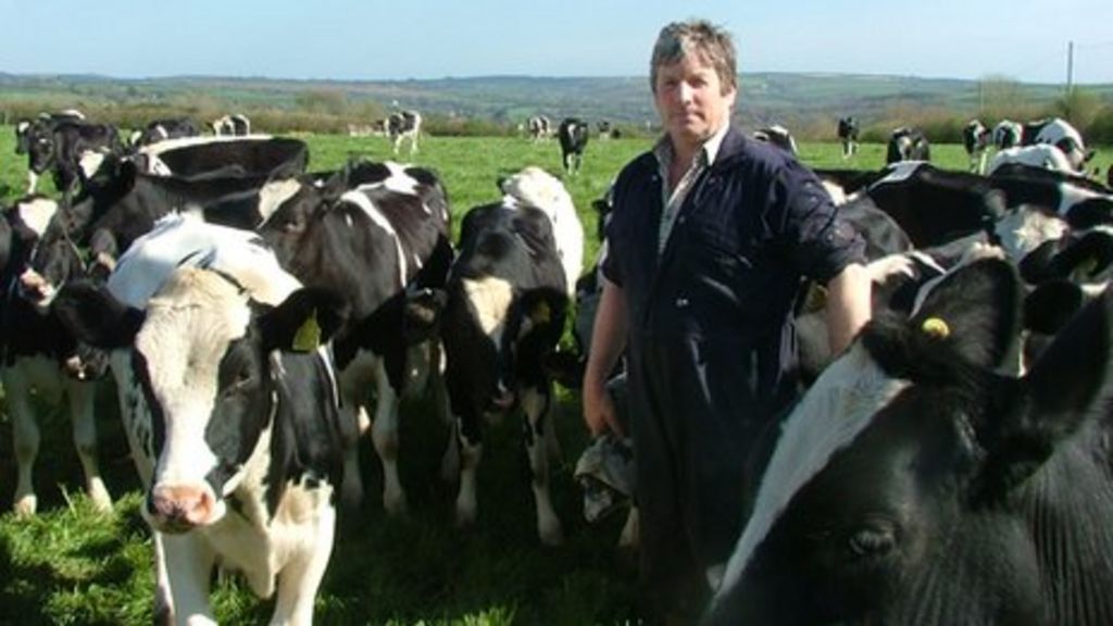 Cornwall cattle found mutilated and killed - BBC News