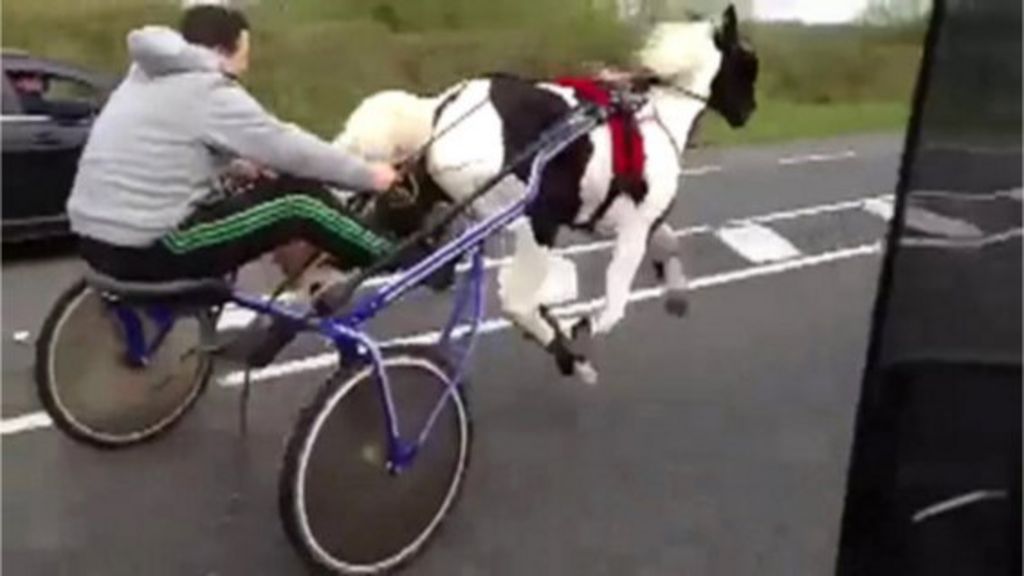 Bid to rein in 'sulky drivers' racing carts - BBC News