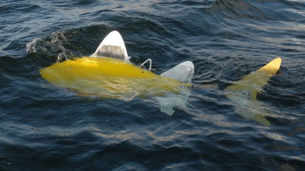 Robotic fish to monitor pollution in harbours - BBC News