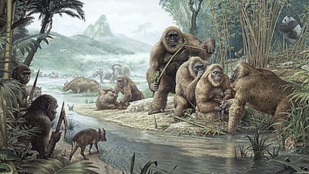 DNA to shed light on yeti claims - BBC News