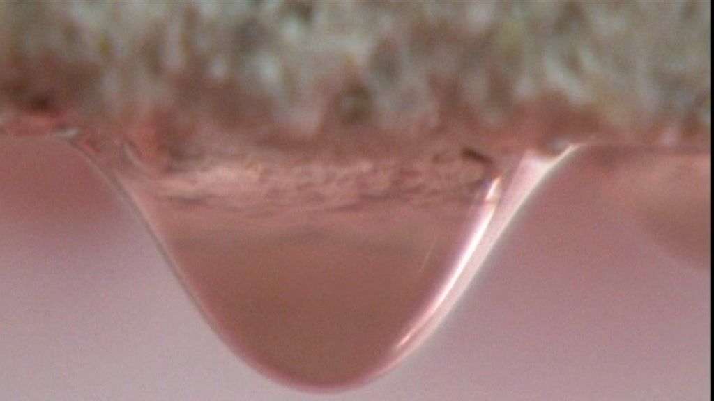 Japanese scientists make plaster that filters radioactive water - BBC News