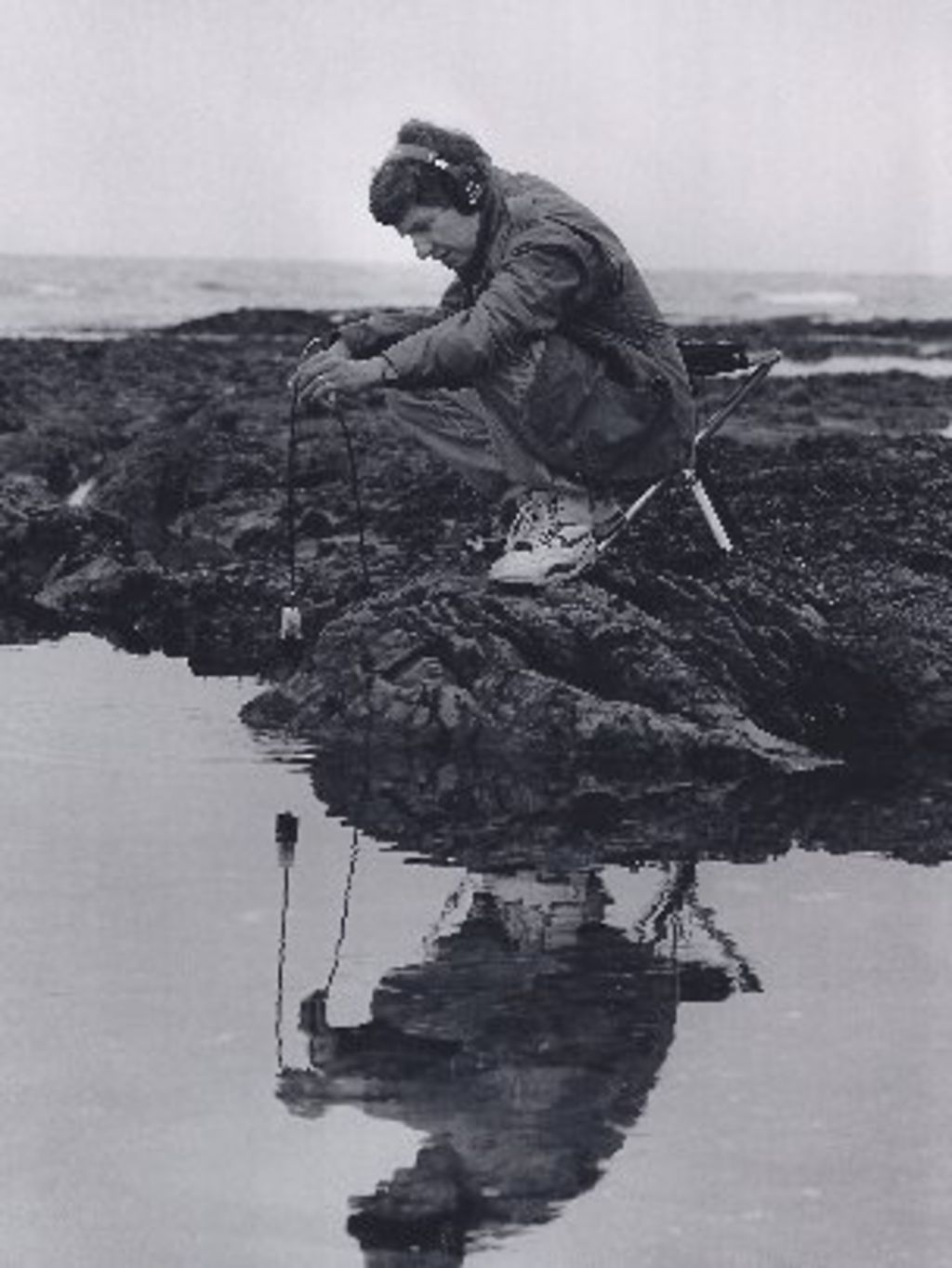 An all-natural animal orchestra - BBC News