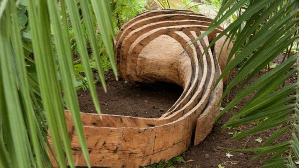 David Nash makes art from Kew Gardens' dead trees - BBC News